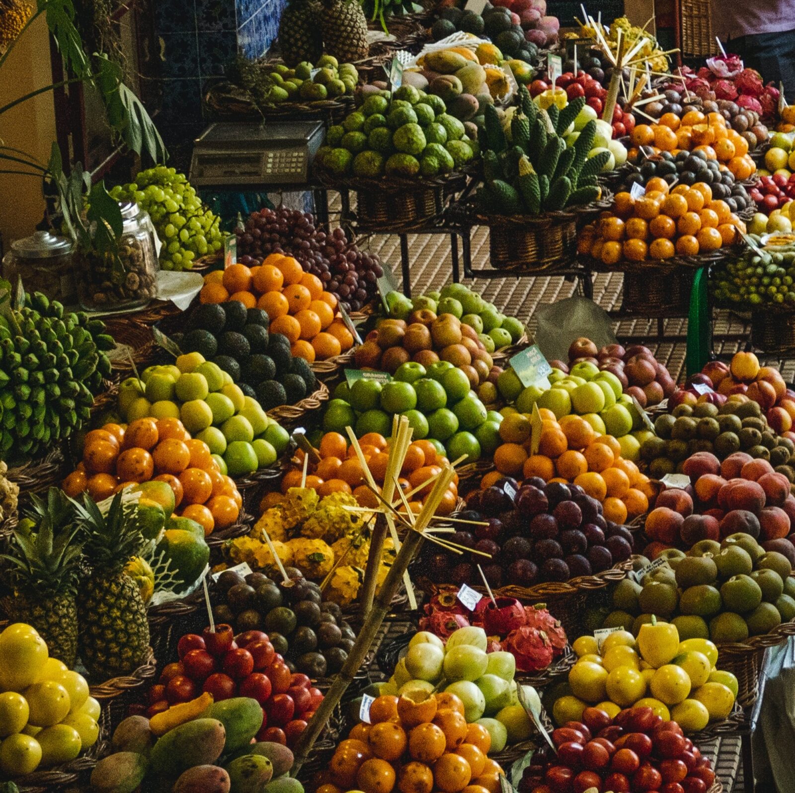 Opening and Expanding Your Cultural Horizons Through Food | Wellness ...